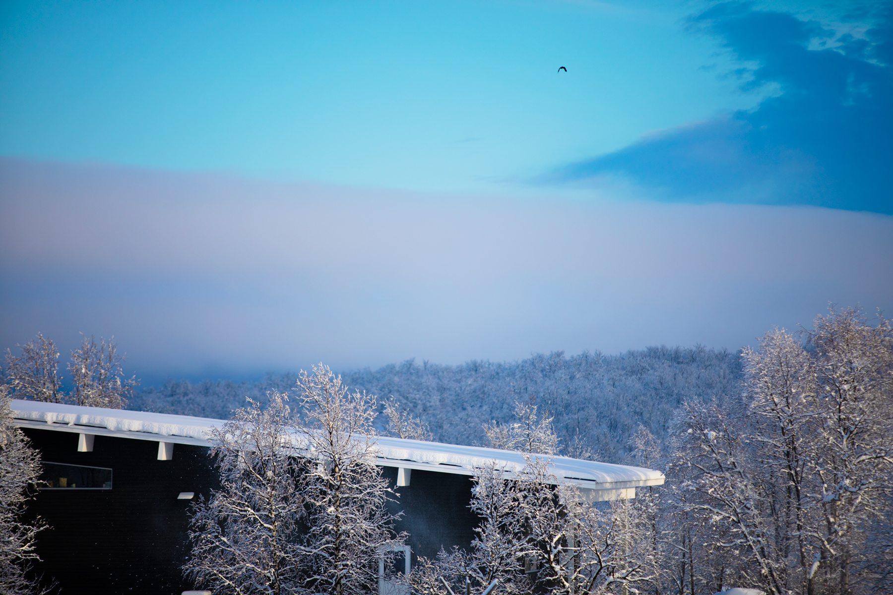 Privacy policy | Camp Ripan