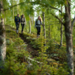 Camp Ripan - in the heart of Kiruna with its majestic mountain ...