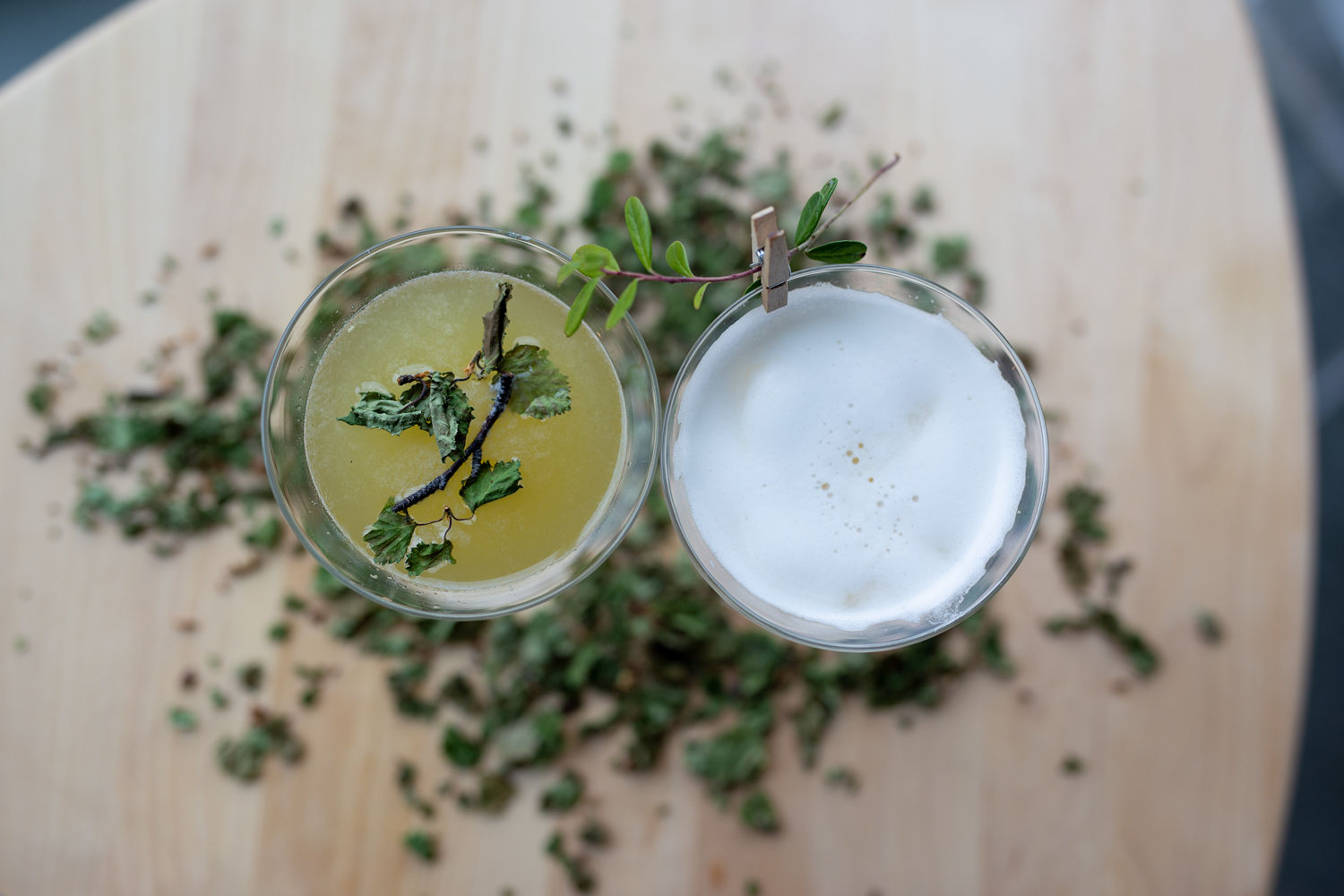 Bartender | Camp Ripan